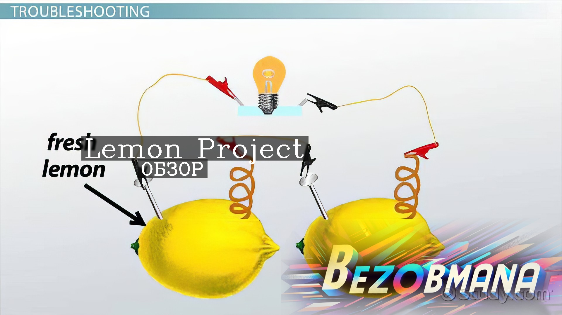 Lemon Project - Обзор и отзывы. Мошенники или нет?